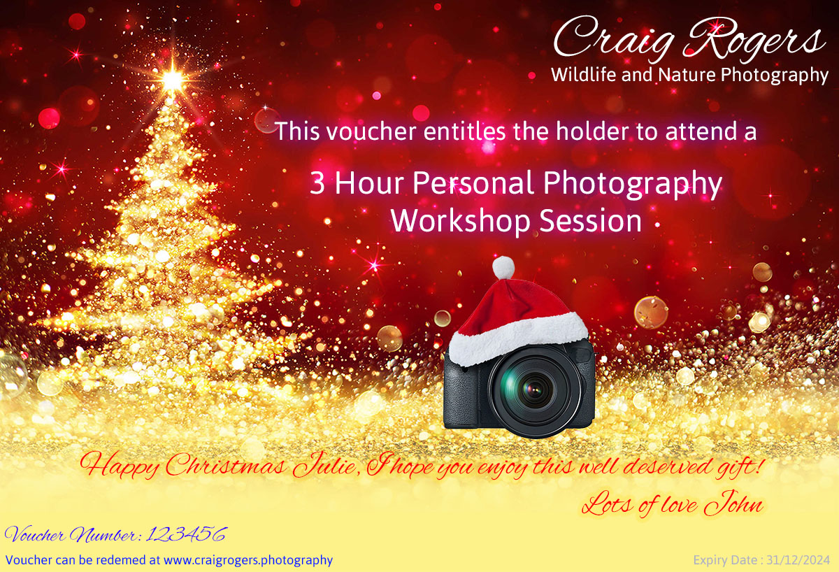 Personal Photography Workshop Gift Vouchers - Craig Rogers Photography